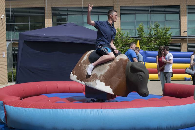 Rodeo Bull Hire, Bucking Bronco Hire, Rodeo Reindeer Hire UK